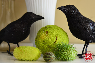 MargotMadison: A Peculiar Mantle Display