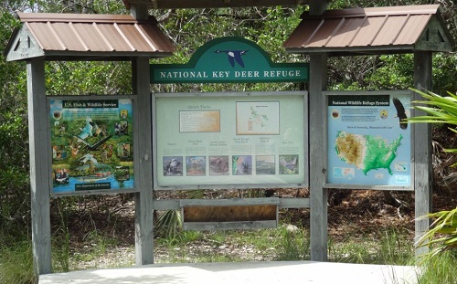 MORE KIDS THAN SUITCASES: Keeping Clear of the Key Deer