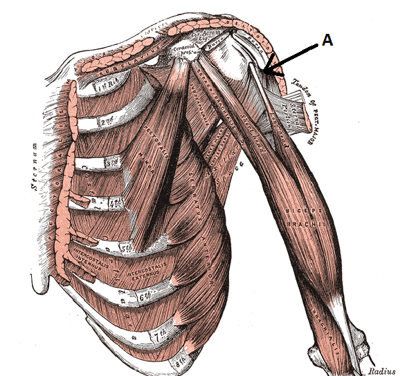 Dr. David Kwon's Blog