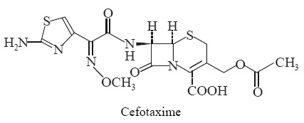 Cephalosporins