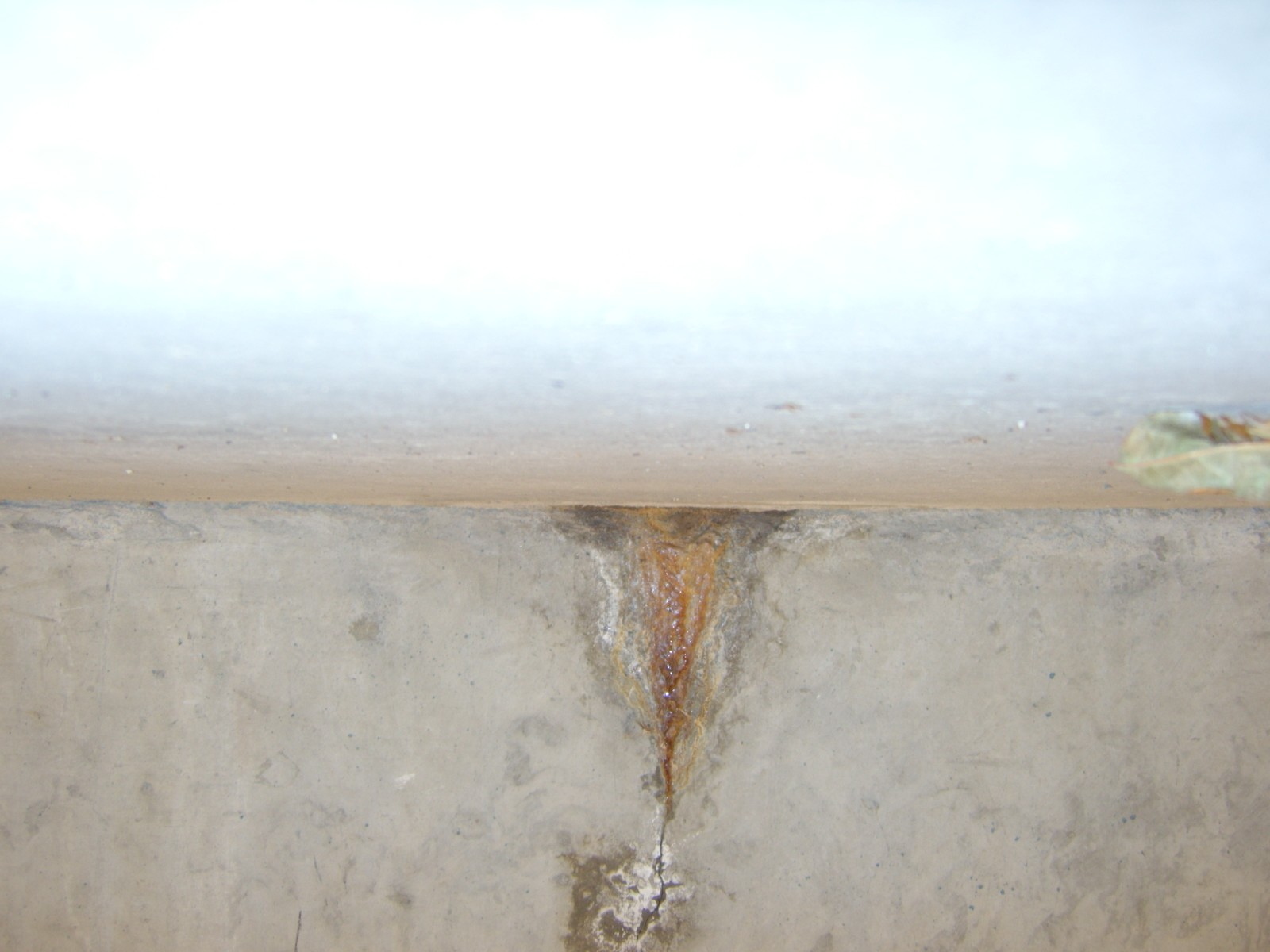 Ole Cohen - Billeder