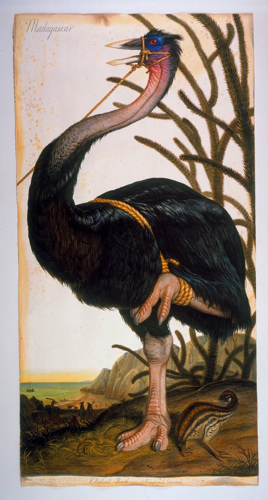 Million Posts: Check out the Most Amazing Extinct Animals!