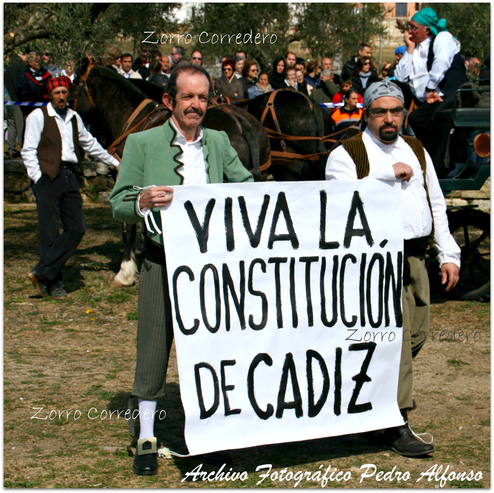 Zorro Corredero de Cadalso de los Vidrios: CONSTITUCIÓN DE 1812, LUIS ...