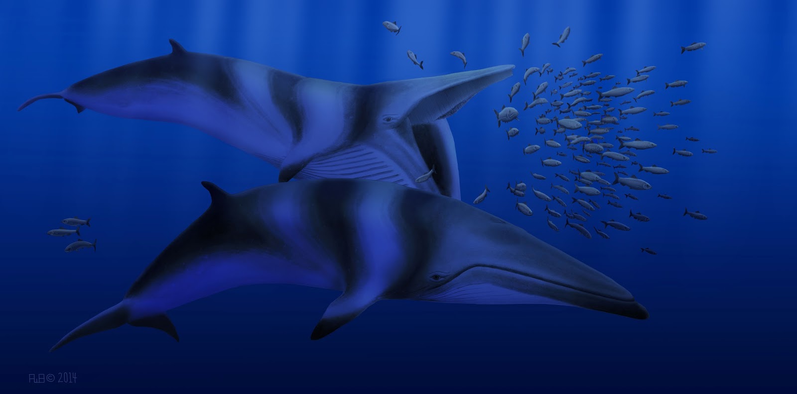 The Coastal Paleontologist: Coastal Paleontology in the News: recent ...