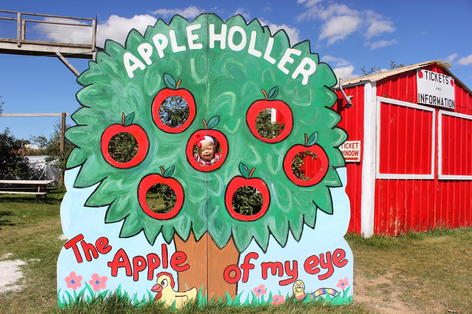 The Koehn Family: Apple Holler Apple Orchard 9.22.13
