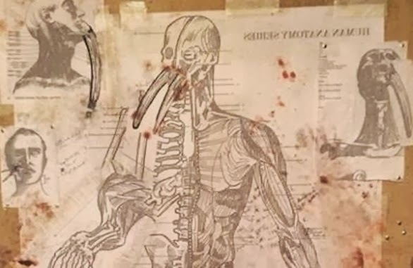 Steal This Review: Kevin Smith's crazy offbeat horror film 'Tusk' finds ...