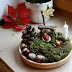 Explore and Express: Advent Nature Table
