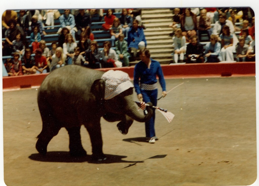The Circus "NO SPIN ZONE": Old MarineWorld-Africa USA