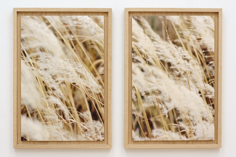 Chicago Art World: 2014: Daniel Shea @ Andrew Rafacz