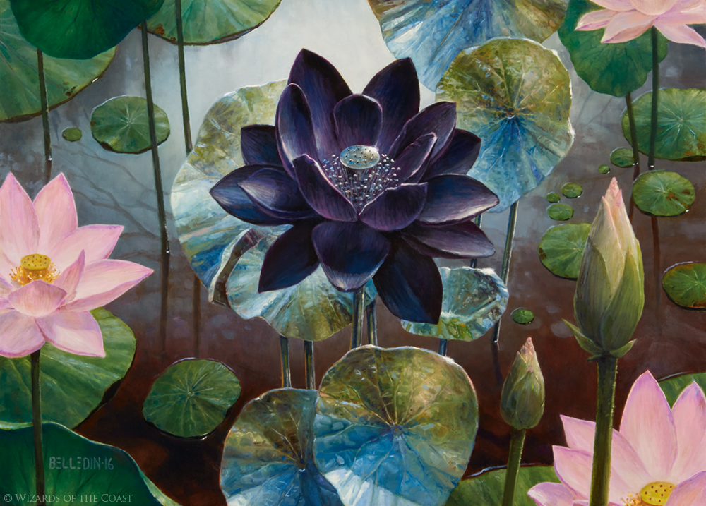 Cynthia Sheppard is the art lead for Ixalan, the fall set this year : r ...