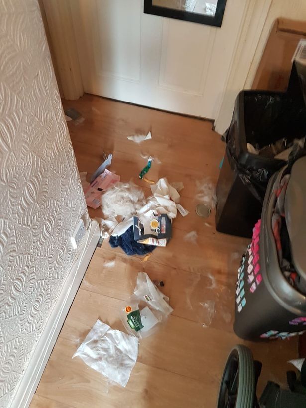 Inside home from hell where dogs and cats resorted to CANNIBALISM to ...