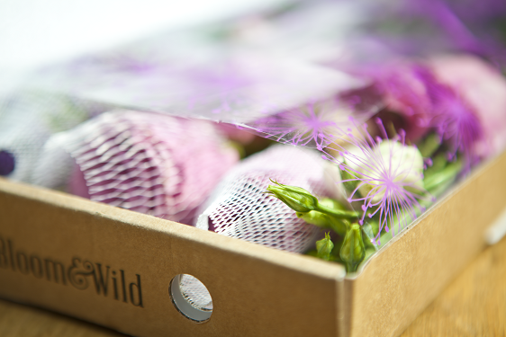 Flowers Through The Letterbox From Bloom & Wild