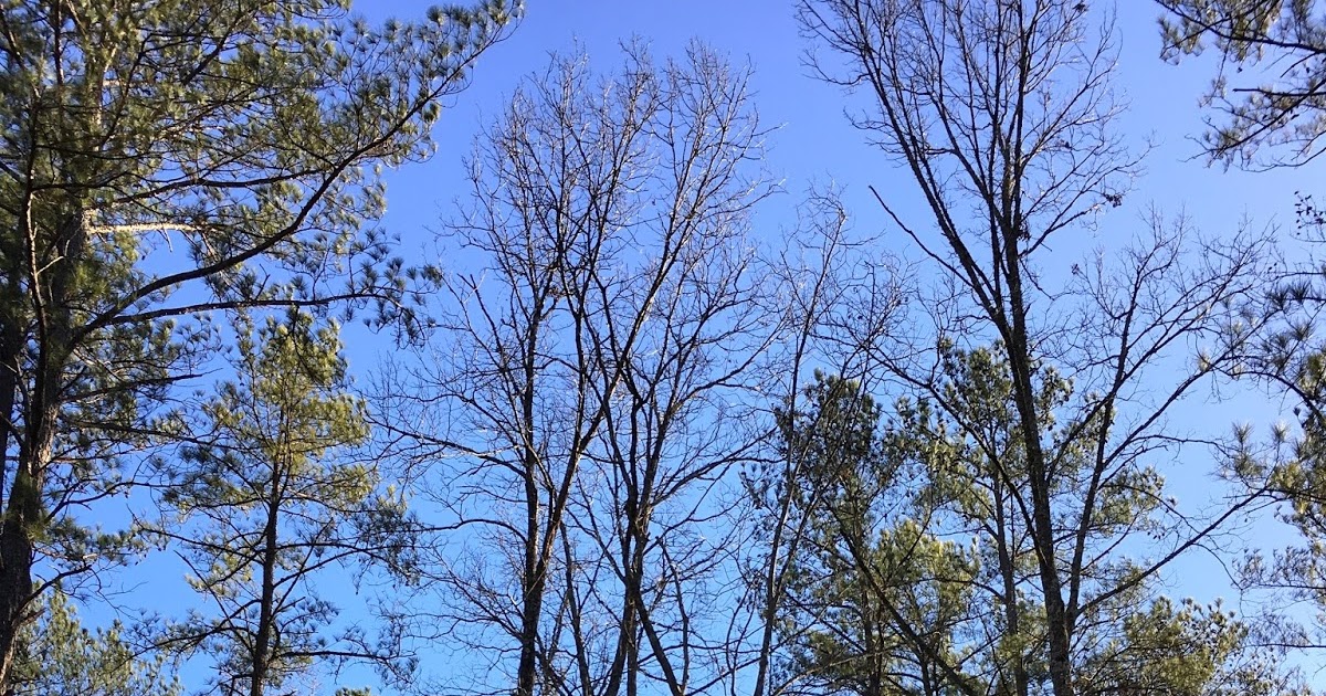 Journey Out of Pink: Hello Sunshine!