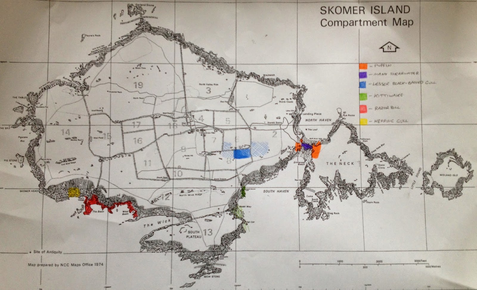 Ros Green - Gingernut Birder: C Permit, Degree completion and Skomer ...
