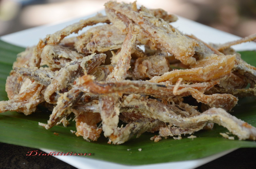 Diah Didi's Kitchen: Sayur Lodeh Iris