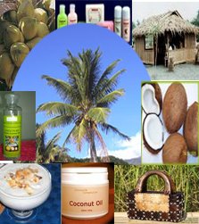 "WOW" Bansalan: One Town One Product (OTOP)