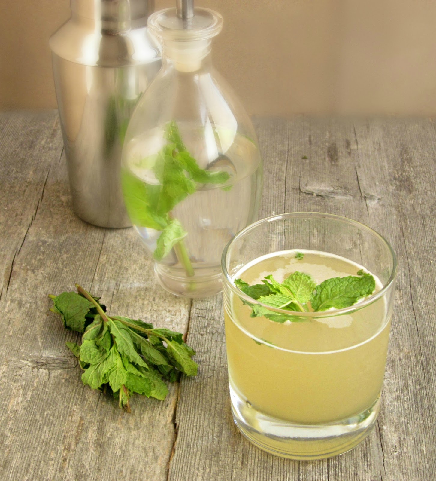 Hungry Couple: Orange Mojito with Mint Skinny Syrup