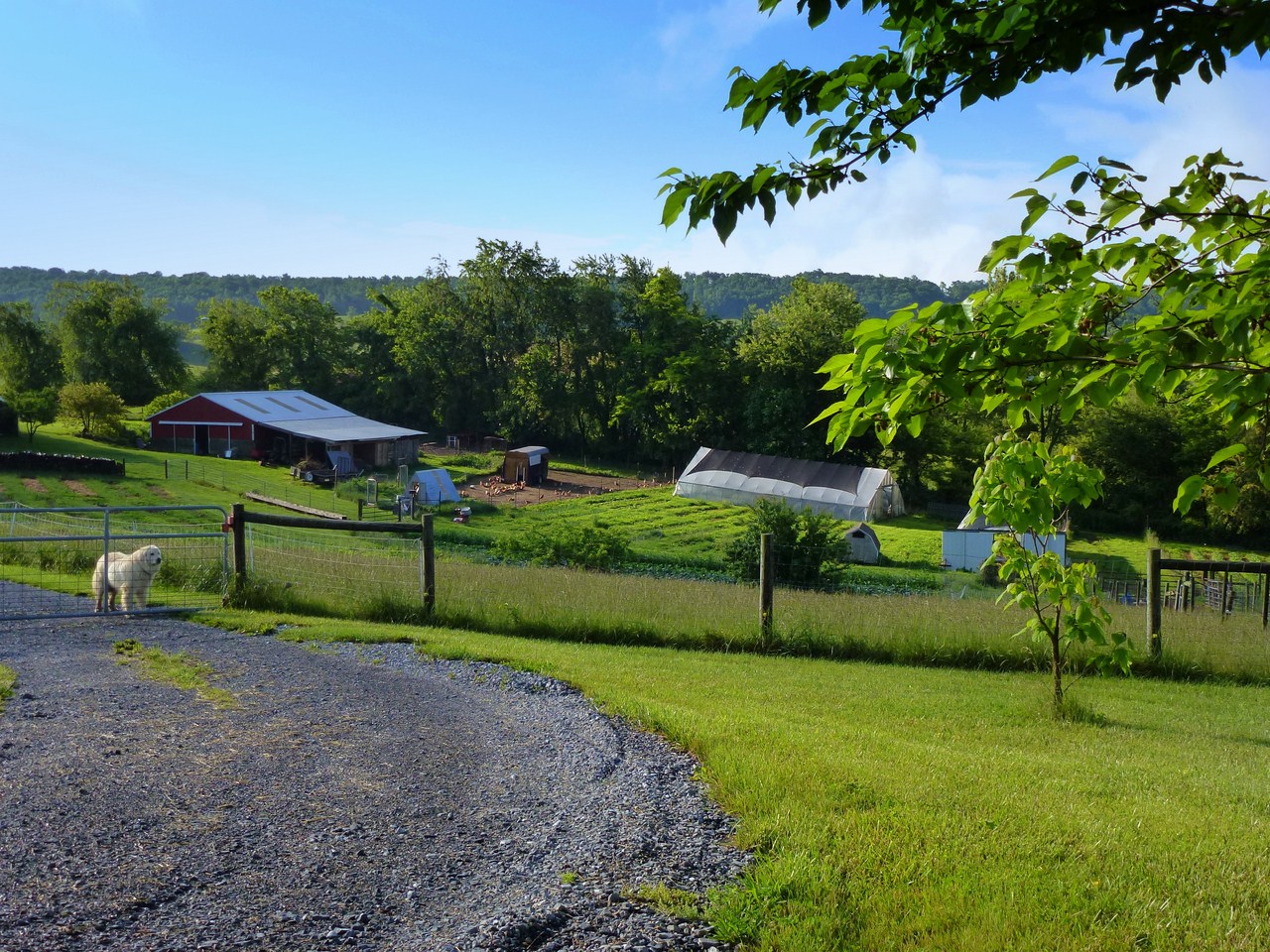 Homestead Hill Farm: After the Rain...