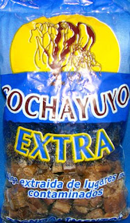 Eating Chilean: Vegetarian Chile