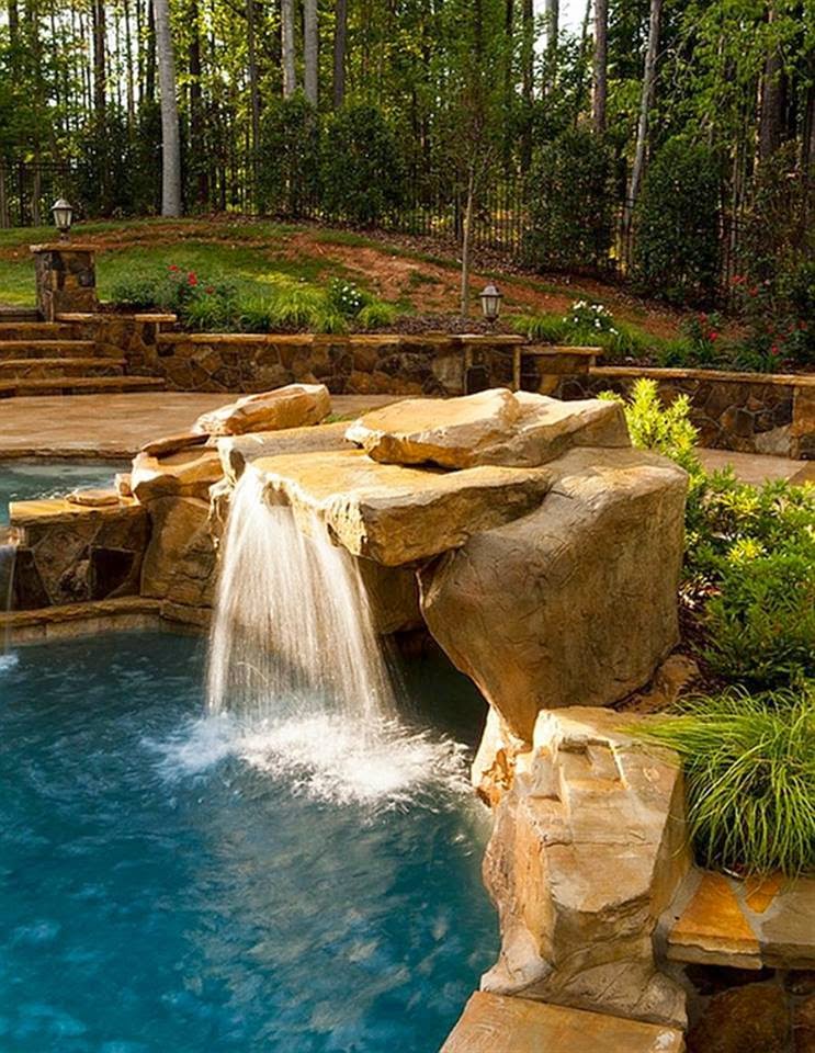 Sewa Tanaman - Landscape: Pohon Peredu & Pelindung Bonsai | Palem ...