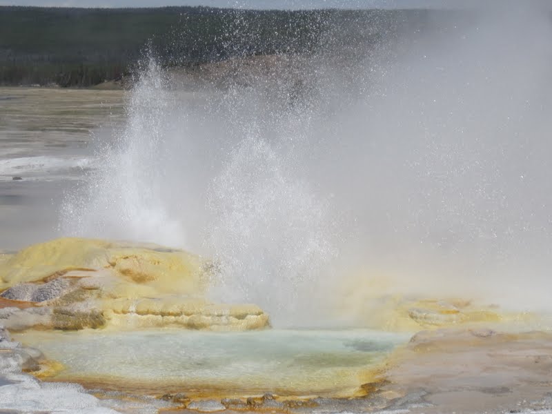 The Scallywagon: YOU SKIN GRIZ', PILGRIM? Yellowstone National Park