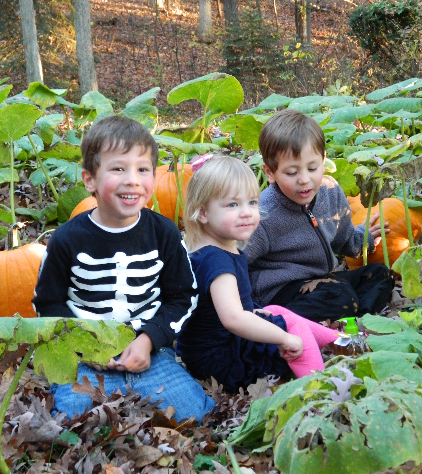 What Happens at Grandma's: Halloween Harvest Party