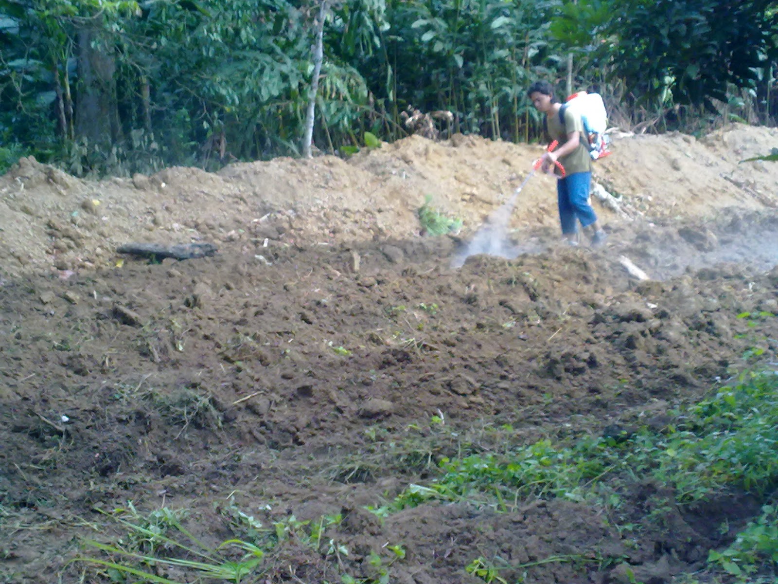 Pembekal Tebu : Meracun tanah