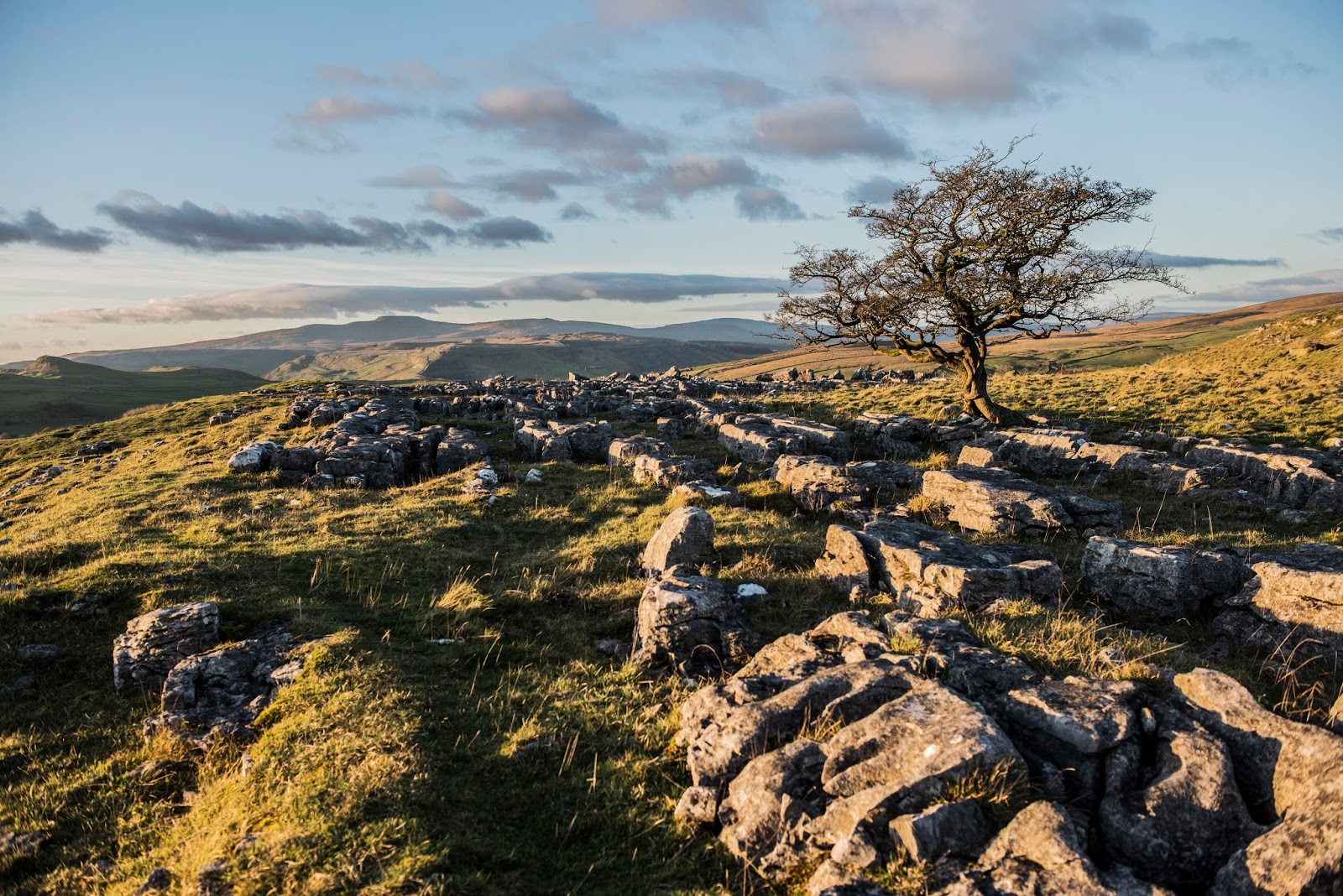 Wigtwizzle - Norman Smith's Travel Blog.: Winskill Stones