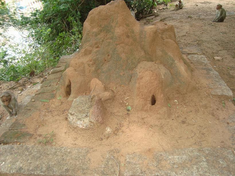 அகத்தியப் பெருமானின் "சித்தன் அருள்"!: சித்தன் அருள் - நம்பிமலை முதல் ...