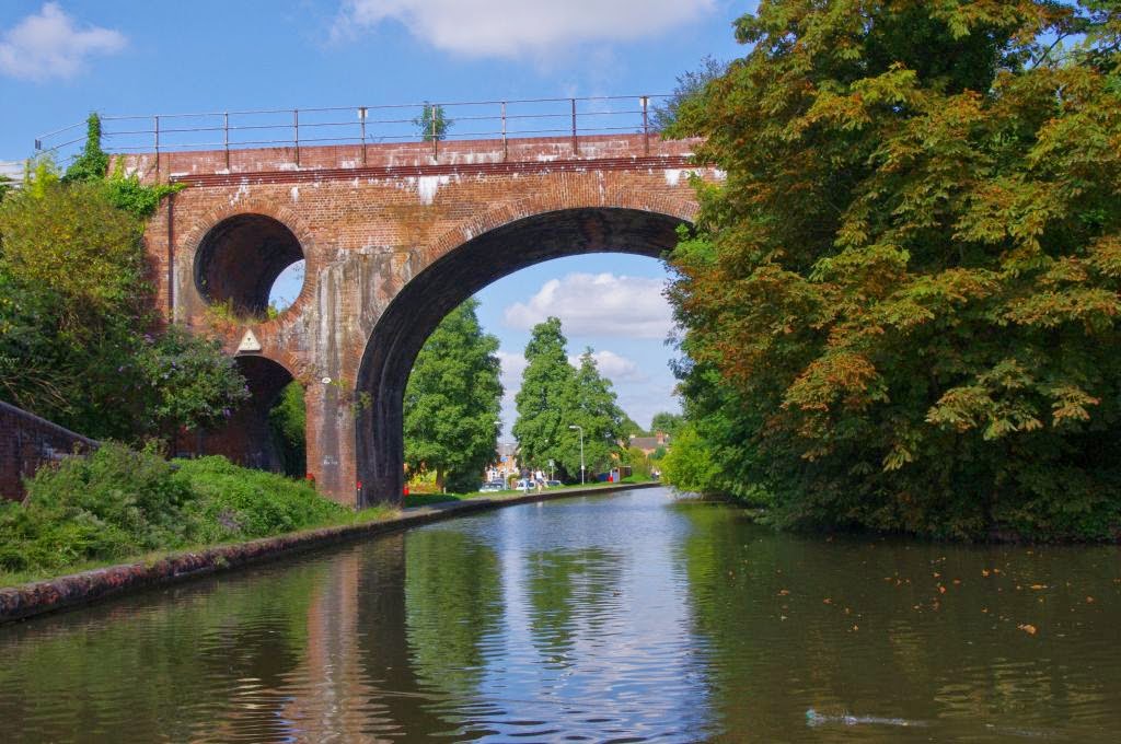 Vince's World: A week on't cut