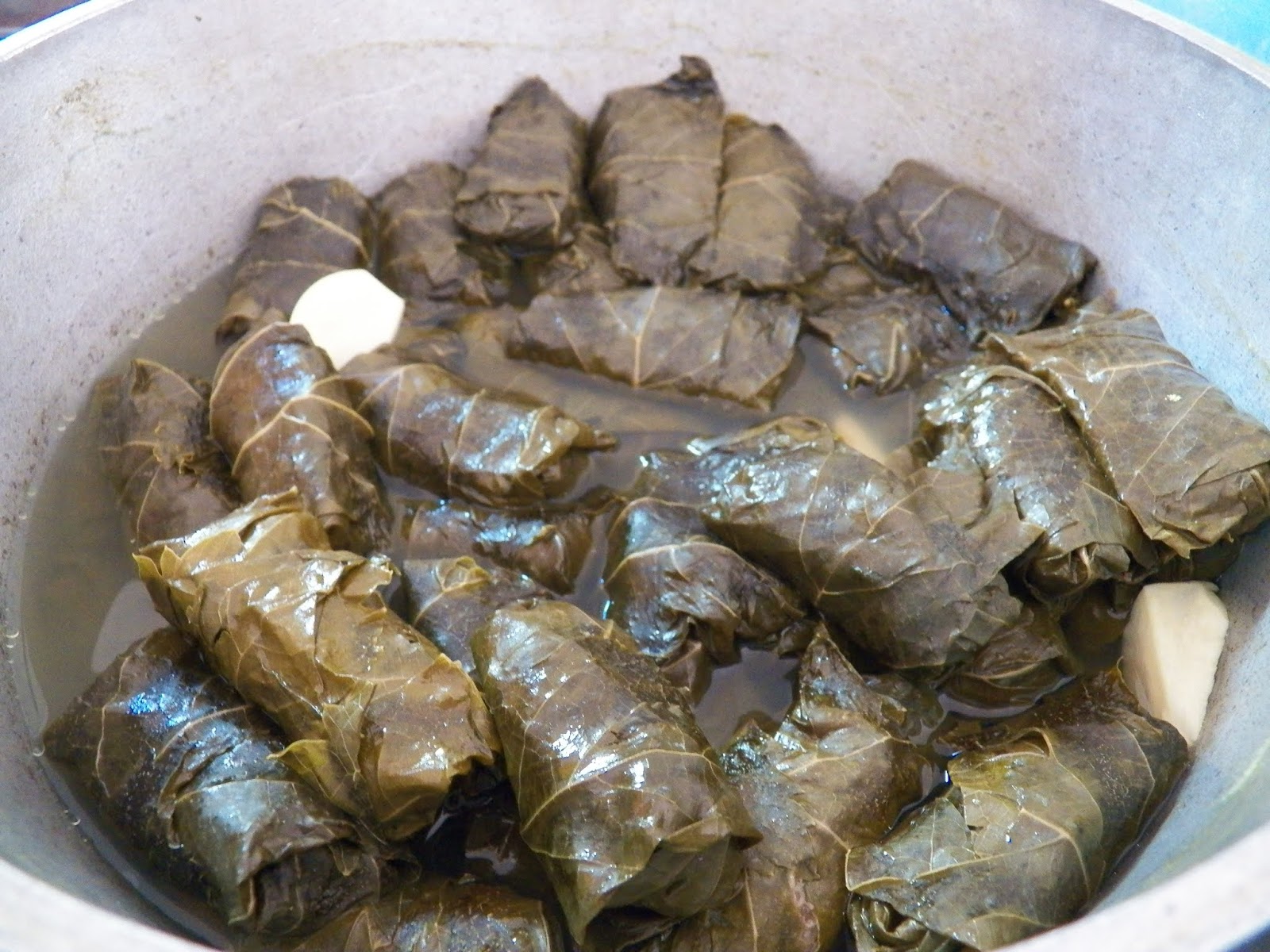 Dolmades - Sid's Sea Palm Cooking