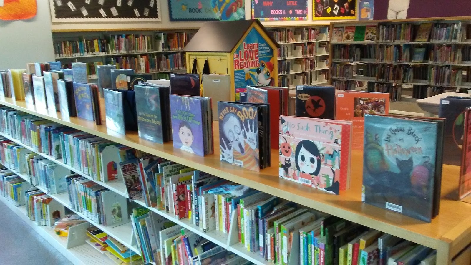 Stanaker Neighborhood Library: October 2017