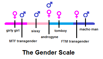 Truth & Beauty: The Gender Scale