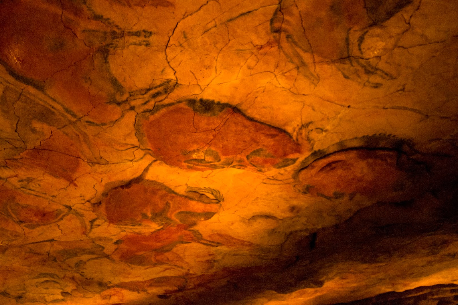 Altamira | El nacimiento del arte ~ HISTORIA DEL ARTE 2.0