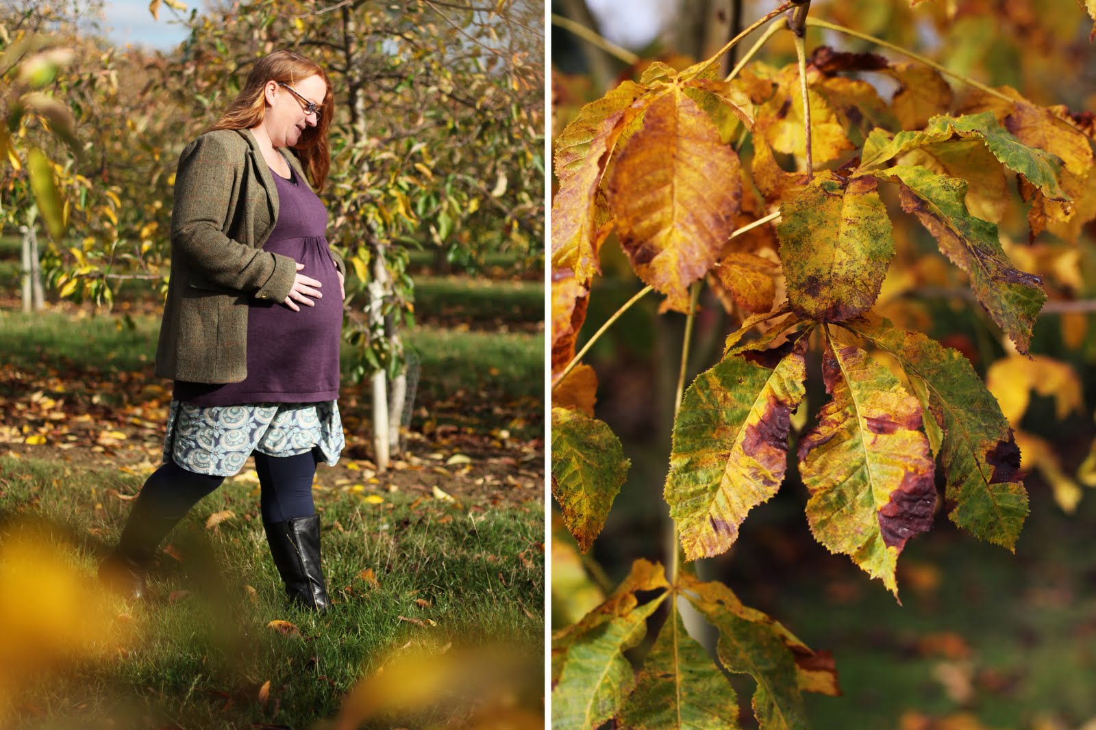 Autumn leaves and mummy bumps - Helen Strong Photography