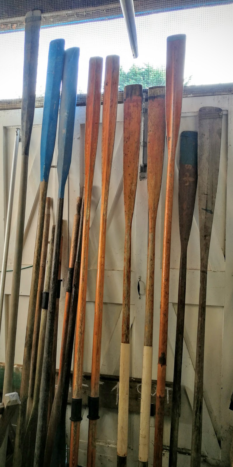 ROWING FOR PLEASURE: 2016