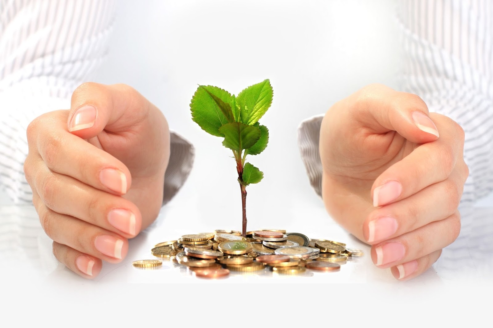 5 regras para o seu negócio prosperar ~ Motive e Ação