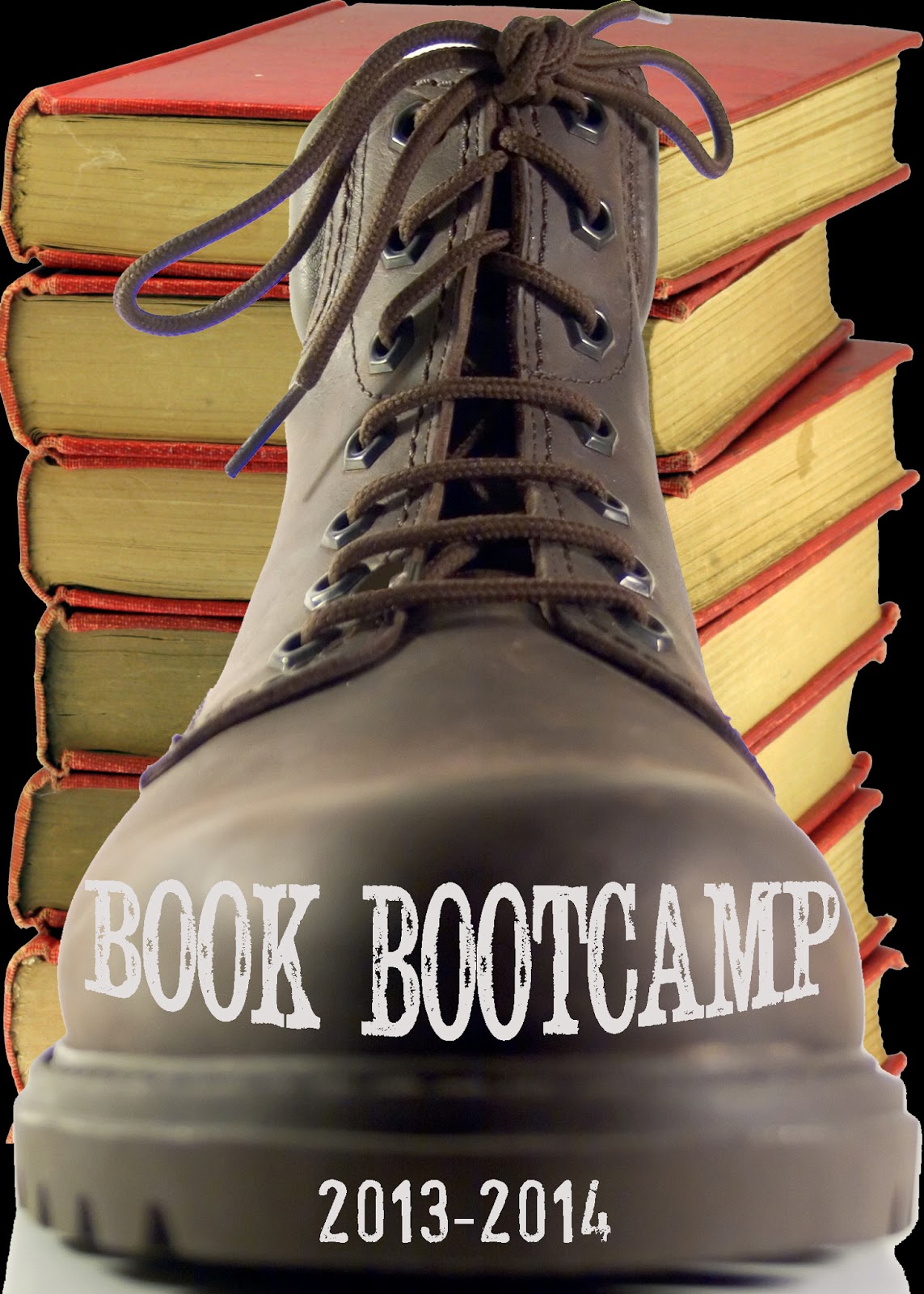 Book Boot Camp: Book Boot Camp 2013-2014