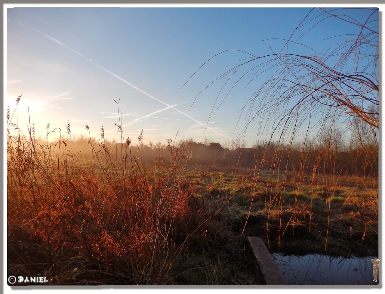 Photos Daniel: janvier 2014