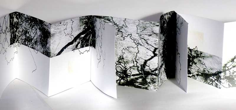 Charlton Stitcher: Digital Mark making