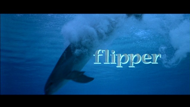 Shameless Pile of Stuff: Movie Review: Flipper (1996)