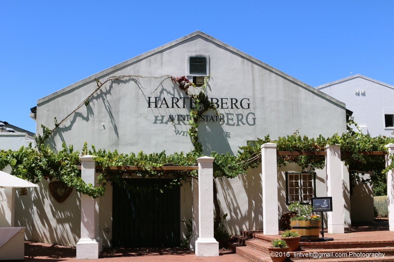 Hartenberg excels in 2017 Prescient Chardonnay Report - WineTourismZA ...