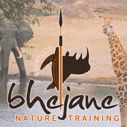 Bhejane Nature Training: 2013 Tourism Indaba and Bhejane Nature Training