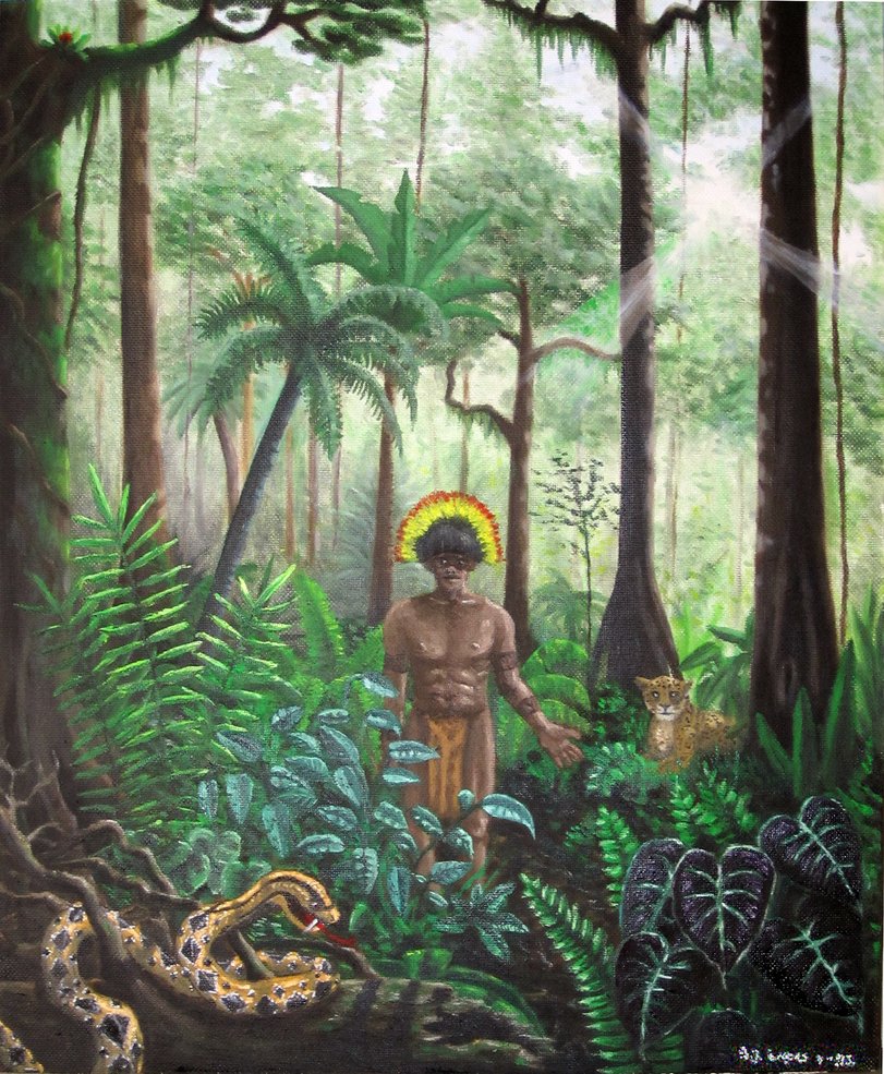 Selva Colombiana Amazónica: DESCRIPCIÓN: