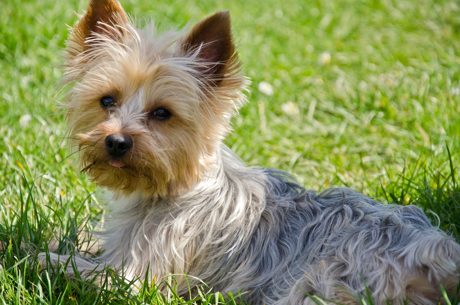 Photo Shooting cu Azorel - Blogul Larisei