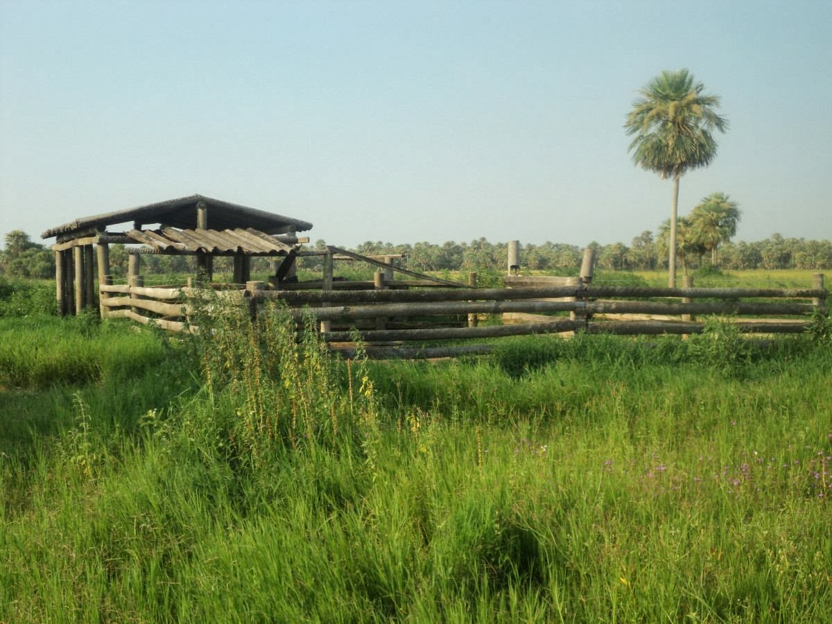 El usufructo universal - Derecho Civil