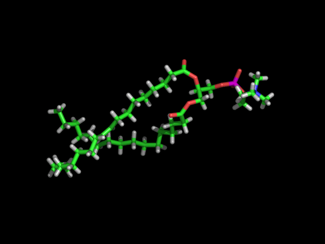Biología y sus derivados : Bioquímica