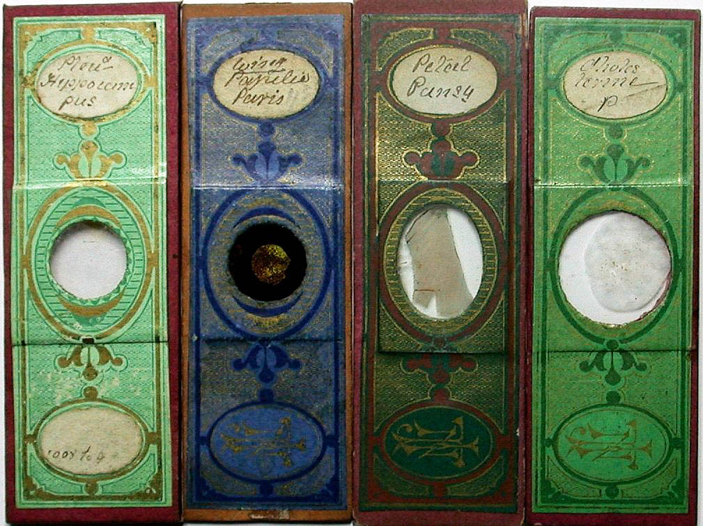 Letterology: Victorian Slide Specimens