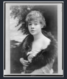 Society for the Preservation of Theatrical History