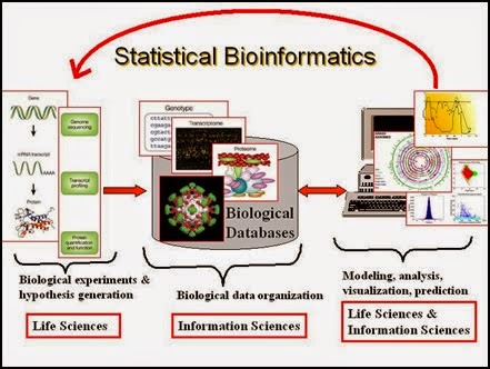 Bloggy Web Science : Bioinformatika
